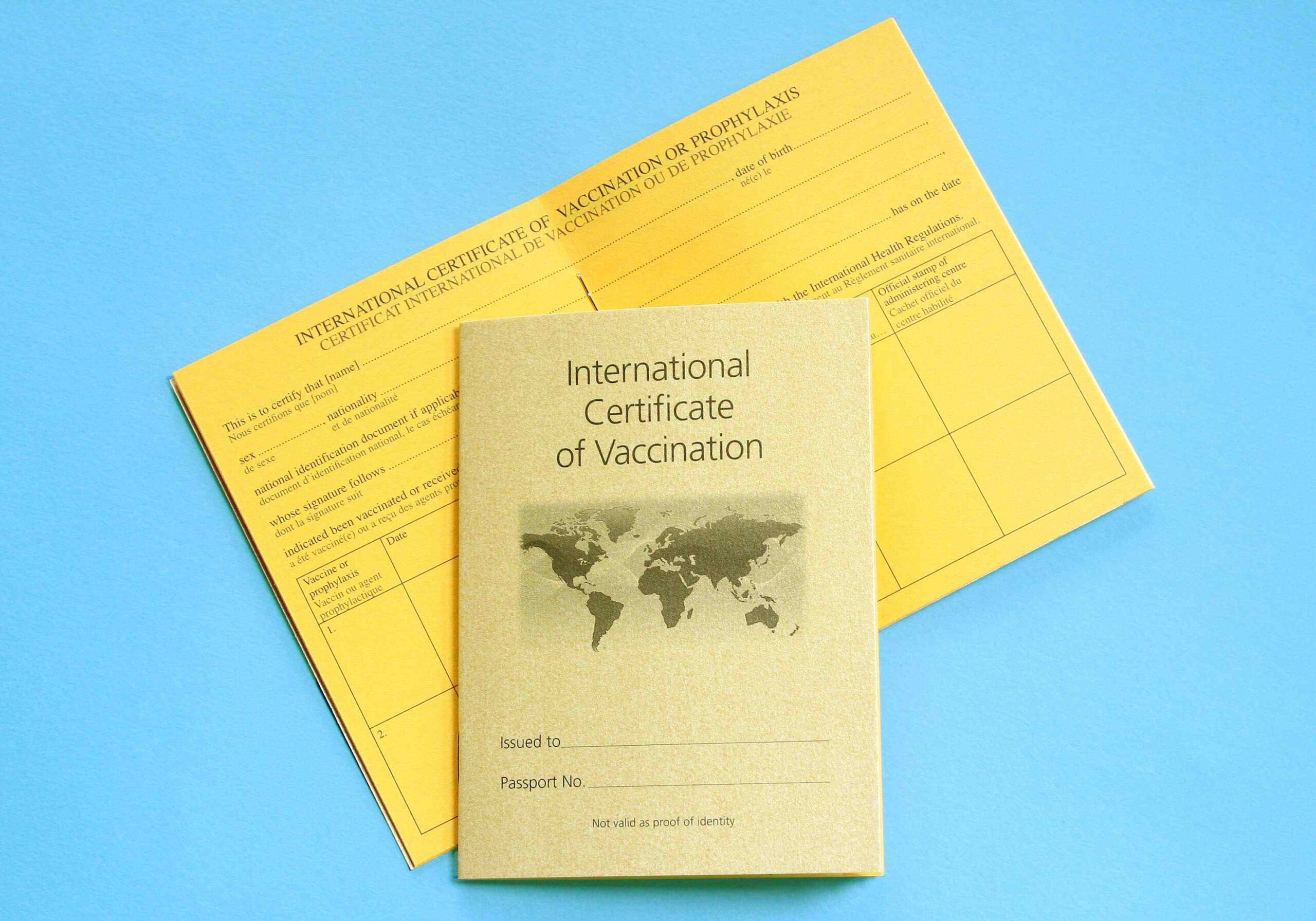 Are you protected against yellow fever? | Travel Medicine Alliance